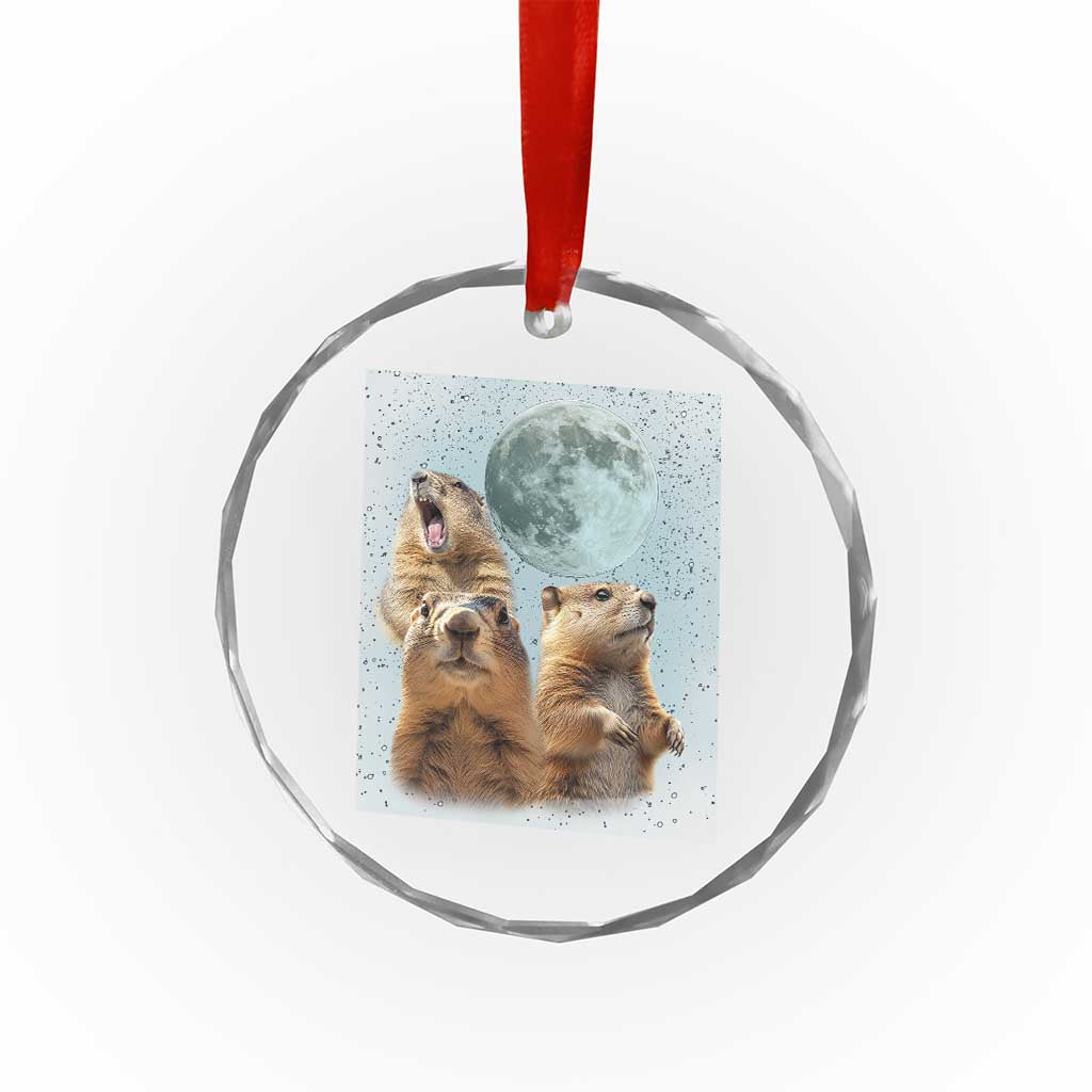 $19.99 $25.00